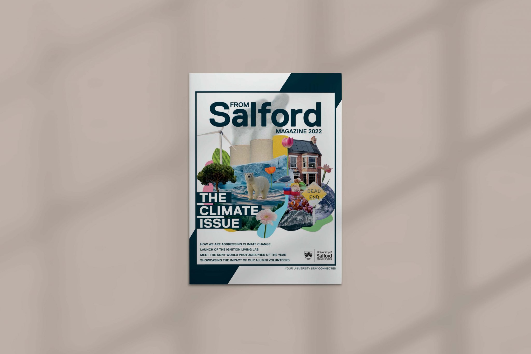 From Salford: Alumni Magazine | Studio Salford | University of Salford